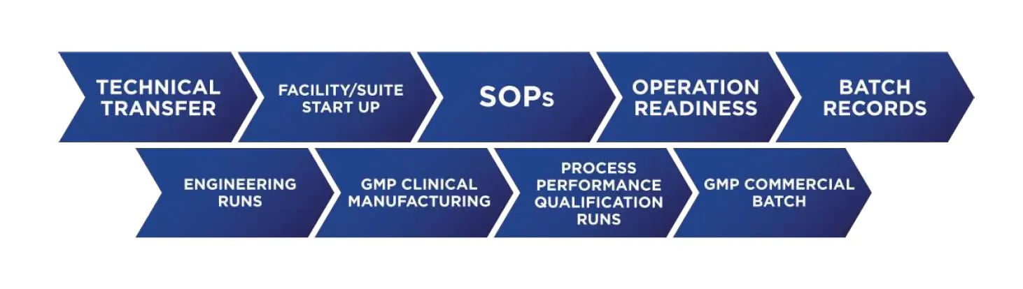 Best Practices for CDMO Evaluation, Selection, and Management